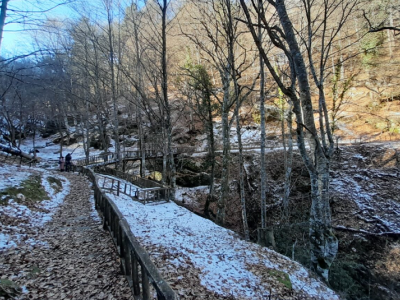 ΔΥΠΑ: Παράταση έως 19 Οκτωβρίου για αιτήσεις στις Πειραματικές Επαγγελματικές Σχολές Μαθητείας ...